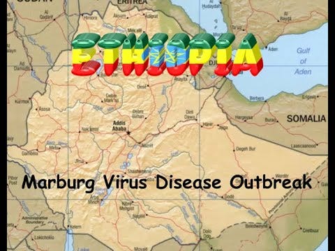 Marburg Virus Disease outbreak in Ethiopia