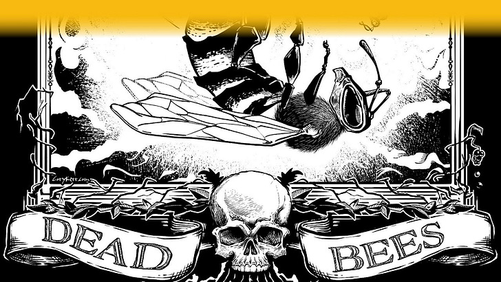 Bees are Rad... and dying... illustration and time lapse video