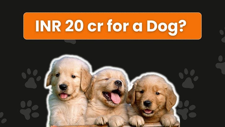😱 INR 20 Cr for a Dog?! - ReadOn