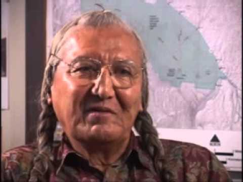 Smartfish | Andy Norris | Substack