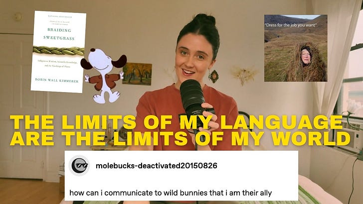 How Language Shapes the Way We Think - by anna