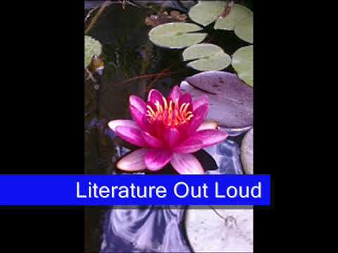 Sonnet 63 by William Shakespeare - by Dane Allred