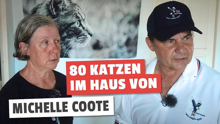 80 cats in Michelle Coote's house in Rayong / Thailand