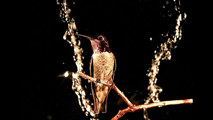 Six Things, Volume 43 - by Lev Parikian - Six Things