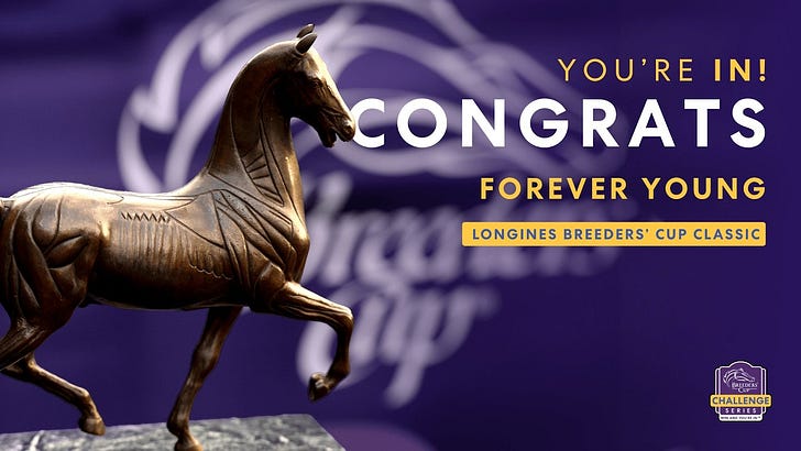 Pedigree Profile: Forever Young - by Jessica Tugwell