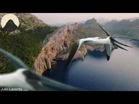 Six Things, Volume 45 - by Lev Parikian - Six Things