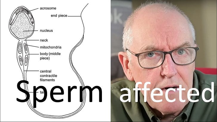 Dee’s Substack | Dee Dee | Substack