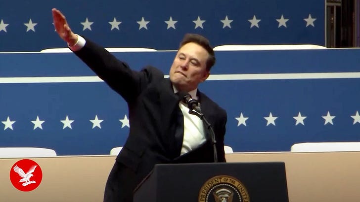 Elon Musk Nazi Salute - by Karen Hunt aka KH Mezek