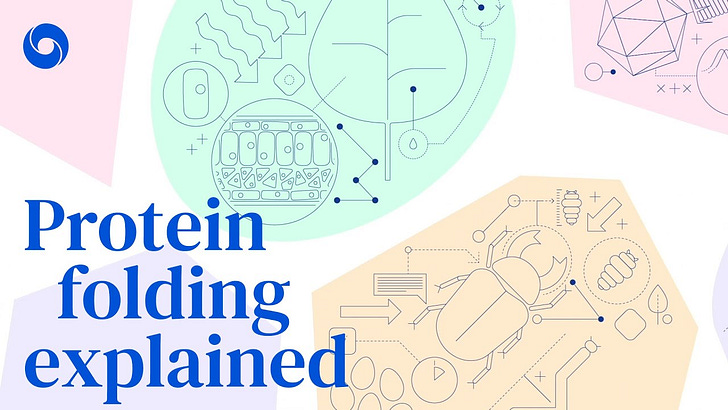 DeepMind | Protein folding explained - by Madhav Kunal