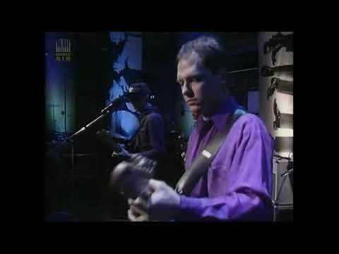 No. 21: Tosh Recommends... - The World of Tosh Berman