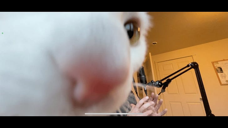 Reborn From Silence - by Evan McDermod - Deeper Meaning