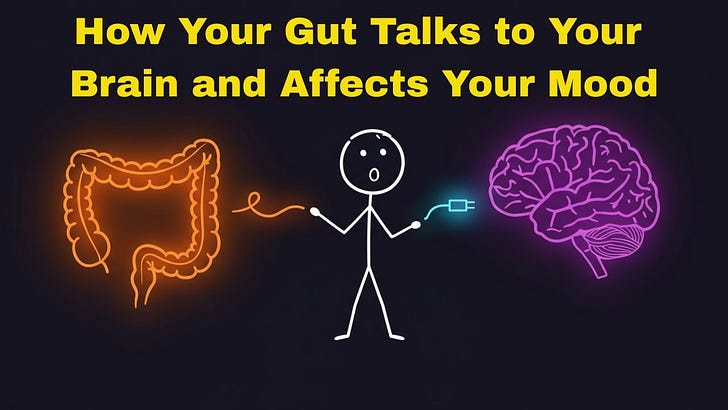 Gut Feelings Explained: The Psychology Behind the Gut–Brain Axis