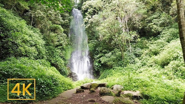 Hidden Gem in Batu City, Indonesia!! Relaxing virtual Forest Walk in ...