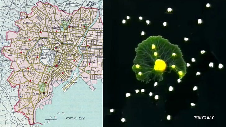 Emulating Nature - sleepydude’s Substack