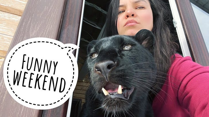 Who couldn't love Luna? - by michaeldmayo@gmail.com