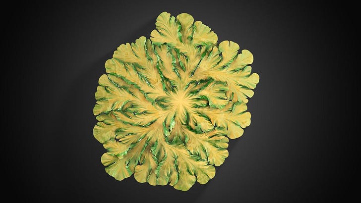 Differential Growth Blender, 3ds Max & tyFlow