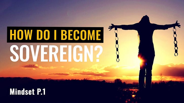 The Sovereign Project & How to Be Free - The Drift