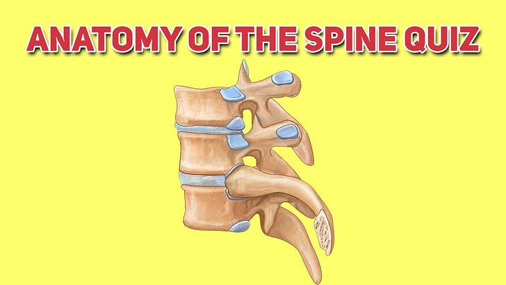 Spinal Anatomy Quiz - by Med Brain Media