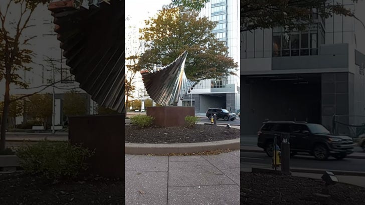 G-Walk: Shaved Bush Park Edition 11/16/21 - PCS Nation