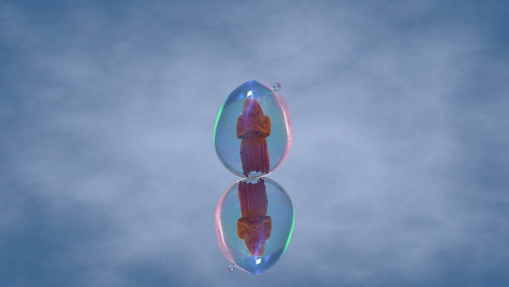 Claim Your Ghost: 5 Songs on Ghosts - by Eric Fahey