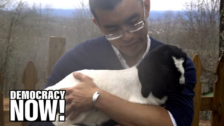 The Goat Trial on Democracy Now - by Wayne Hsiung