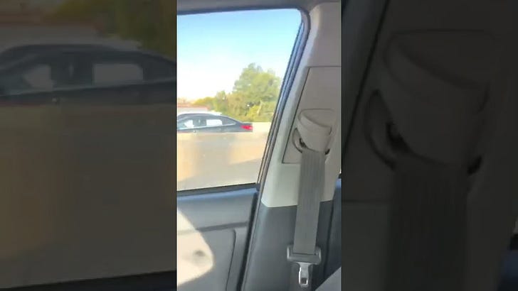 Real Life Grand Theft Auto - by Buck Williams