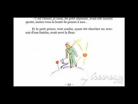#40: Le Petit Prince_Chapitre 8 - Lauren Studies French