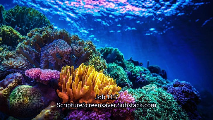 Help Me To Know Your Word... - Scripture Screensaver