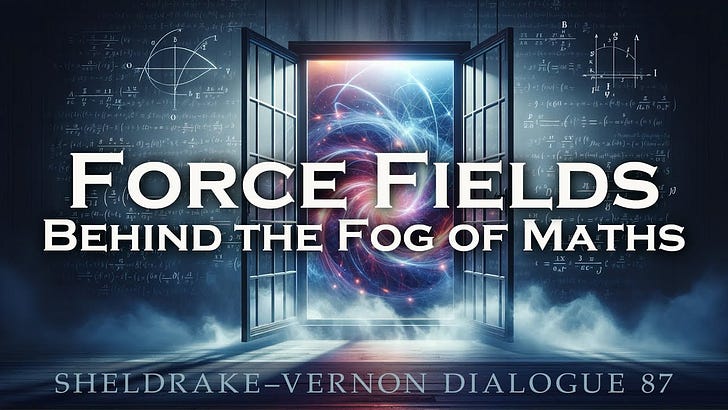 Force Fields, Behind the Fog of Maths - by Robe Warrior