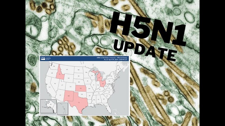 H5N1 avian influenza update - by Robert Herriman