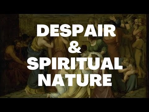 Despair & Spiritual Nature | Kierkegaard & Buddha