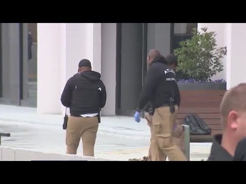 Pro-Palestinian Protestor in Atlanta Sets Herself On Fire in Front of ...