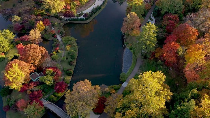 A Warm Fall and a Hungry America - Umar Lee’s Newsletter