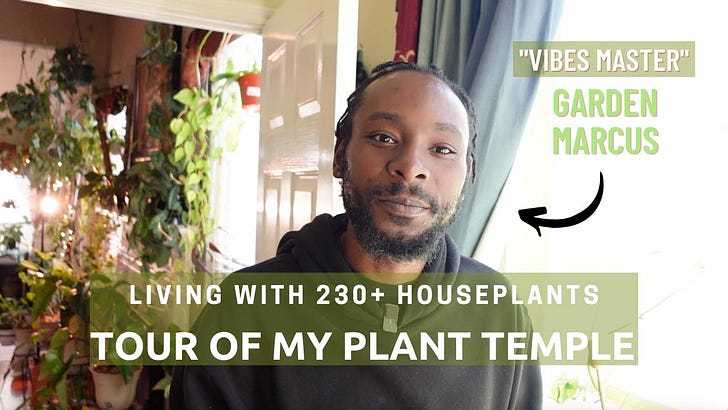 Inside my Plant Temple - by Marcus Bridgewater