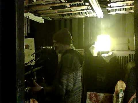 Saturday selections - by Grasshopper Kaplan