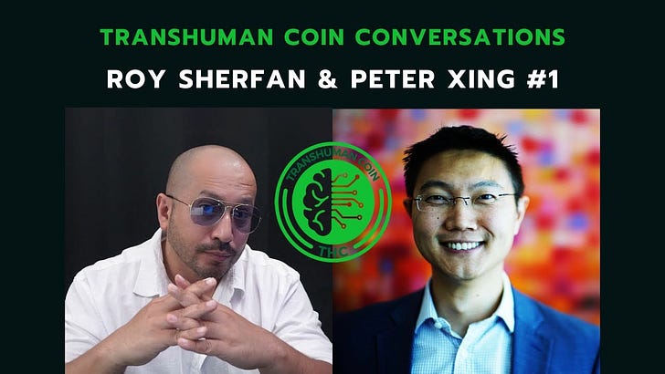 Transhumanism Videos | GPT-4, AGI and the Singularity - Peter & Roy