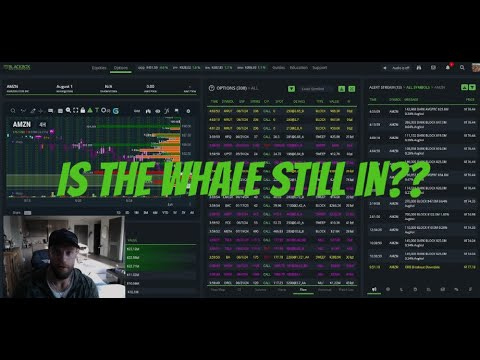 Is the Whale still in, am I bagged? - Taylor’s Substack