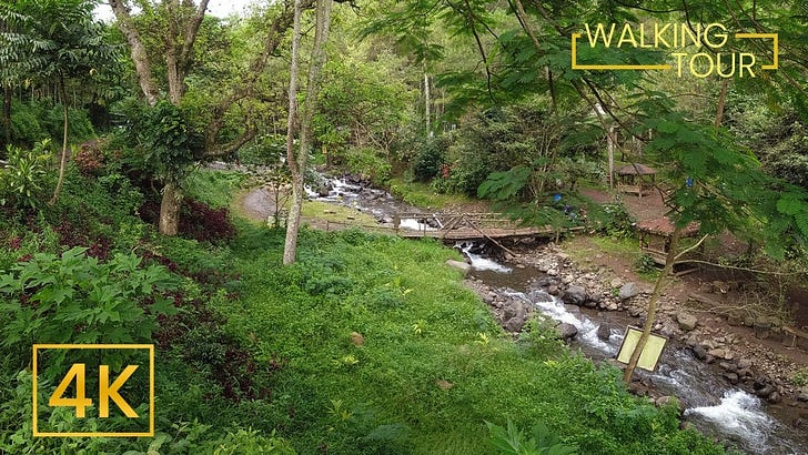 Virtual Forest Walk in Bedengan campground, Selorejo, Malang City ...