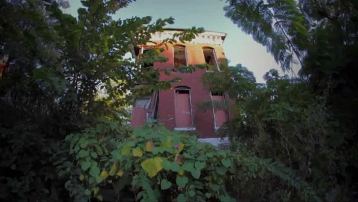 Brick By Chance and Fortune - by Andrew Wimmer