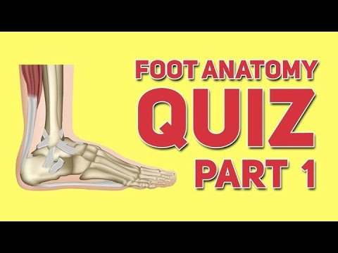 Foot Anatomy Quiz Part 1 - by Med Brain Media
