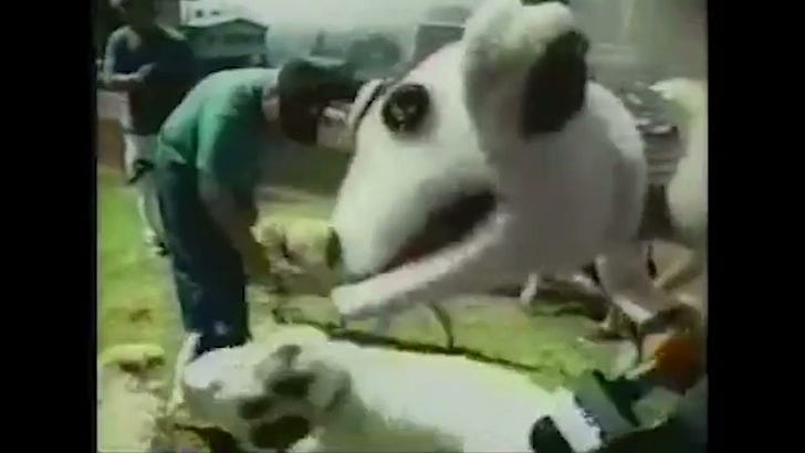 Archive - Cassandra Unchained