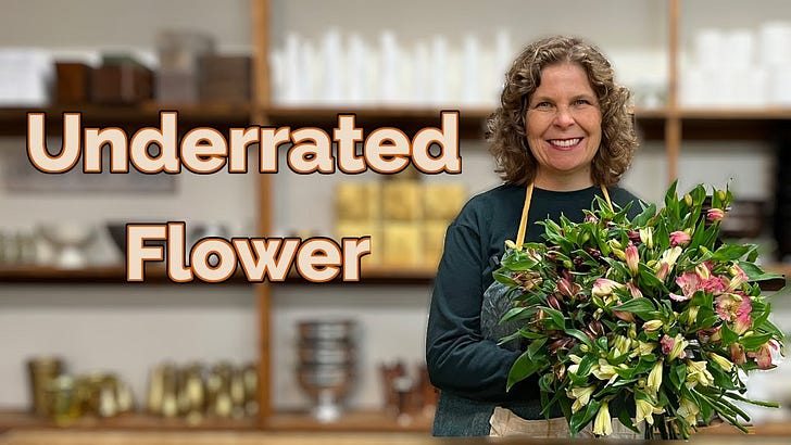 The Most Underrated Grocery Store Flower - by Ellen Frost
