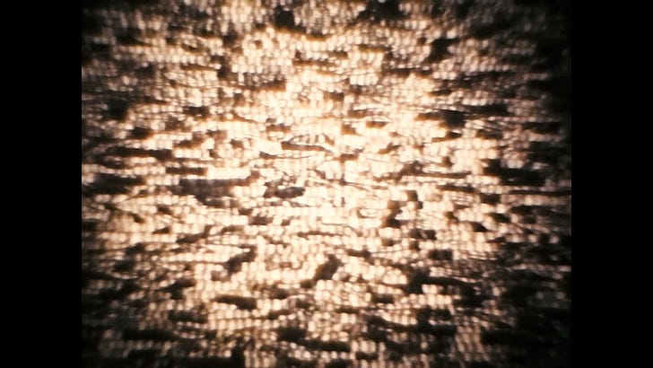 Carismas | Vinícius | Substack