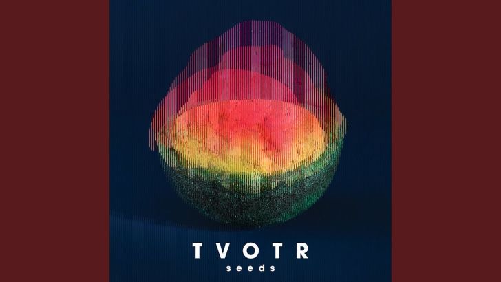 Happy Idiot, TV on the Radio - by N. Bourbaki